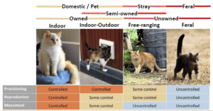 Information - WA Feral Cat Working Group